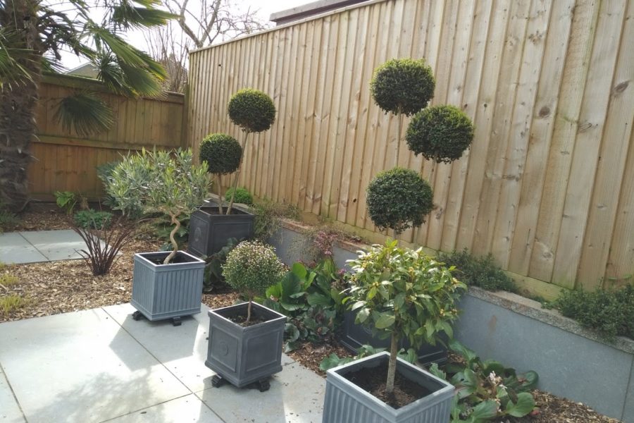 Contemporary planting | Rupert Bannister