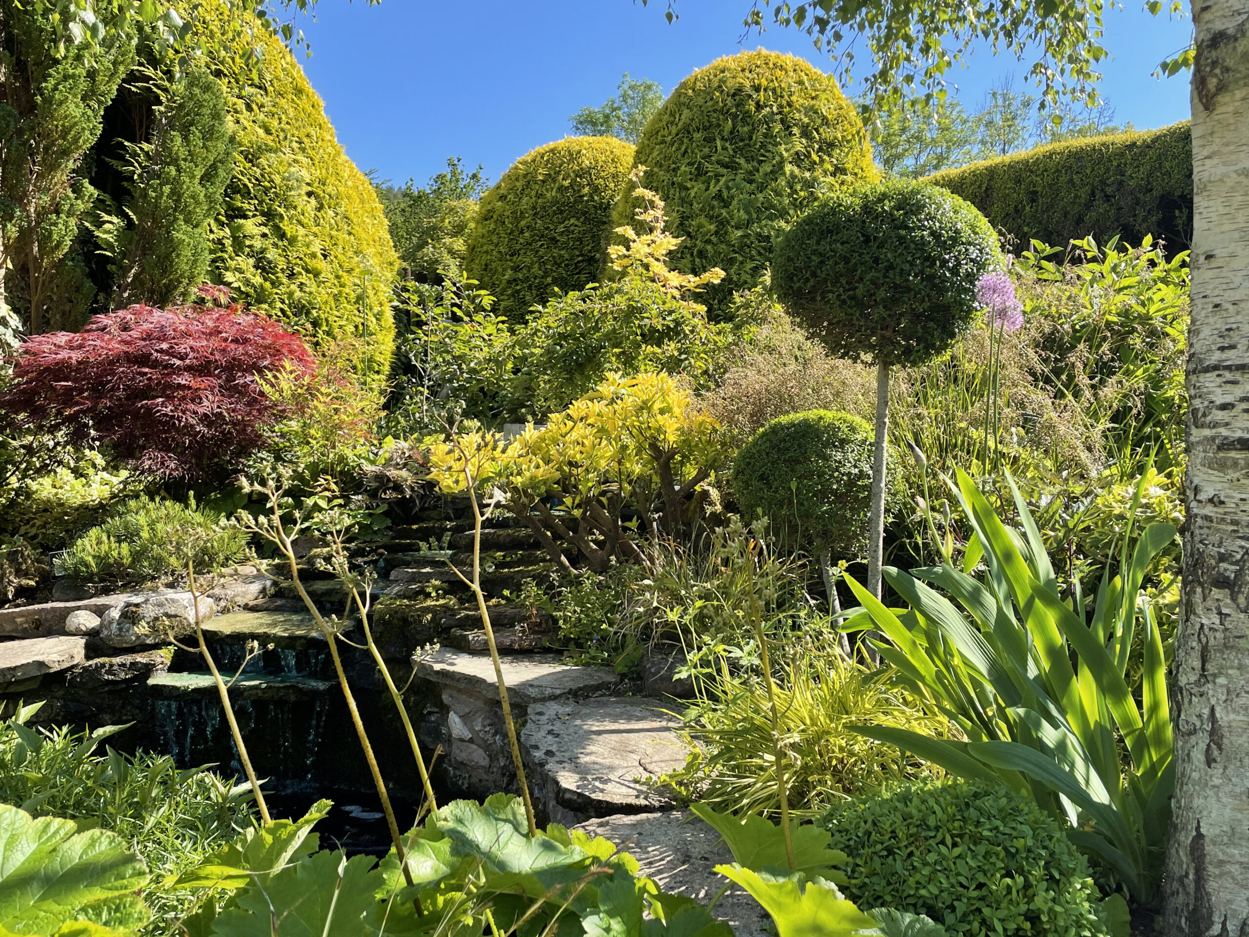 Plant Form Structure Rupert Bannister Plant Form Structure Rupert Bannister
